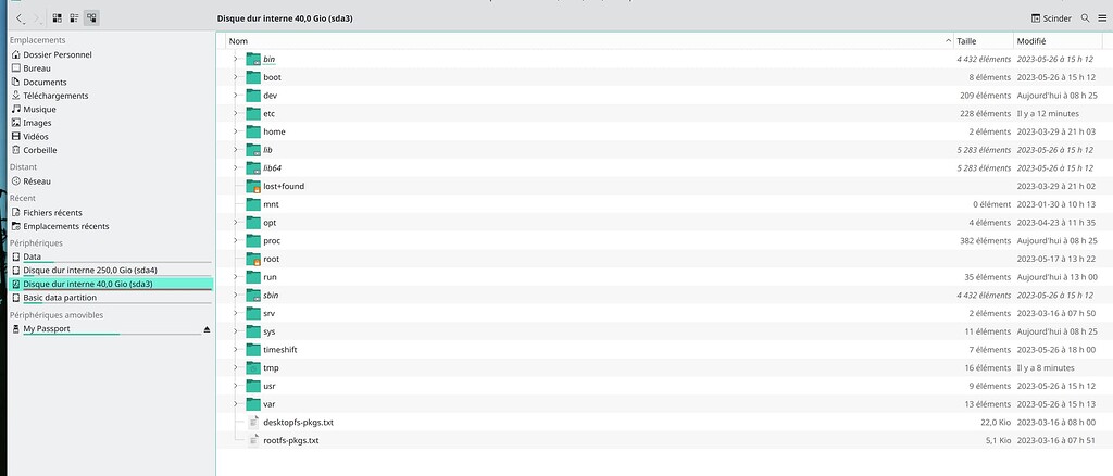40 gigs of memory space is running out for Manjaro and applications - Support - Manjaro Linux Forum