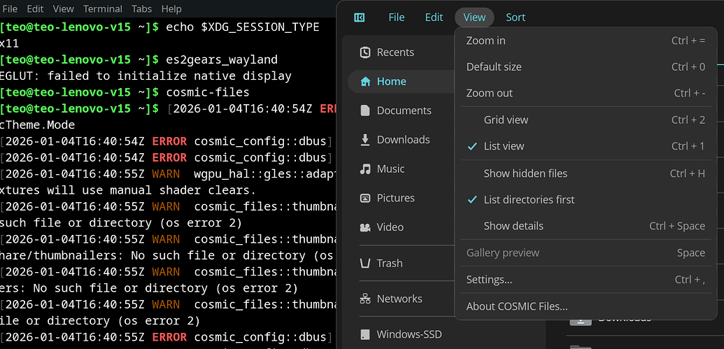 Wayland native apps can't run under X11, therefore cosmic-files file ...