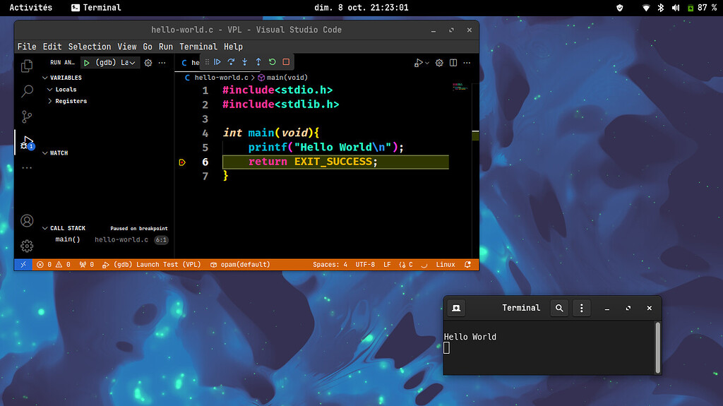 Debugging with a specific external terminal on vsc - Support - Manjaro Linux Forum