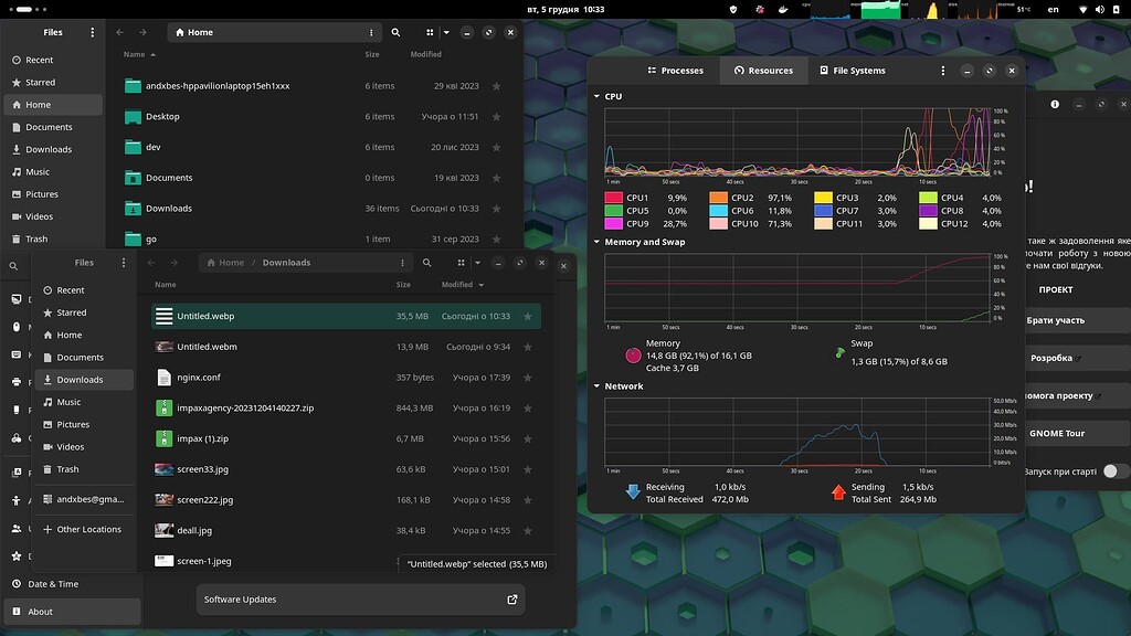Gnome crashes when trying to make a preview from animated "webp" in Nautilus - GNOME - Manjaro ...