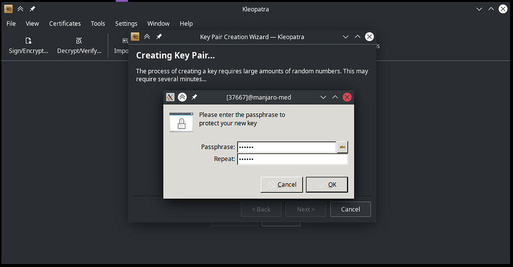 Manjaro fails to configure correct pinentry for KDE Plasma - KDE Plasma ...