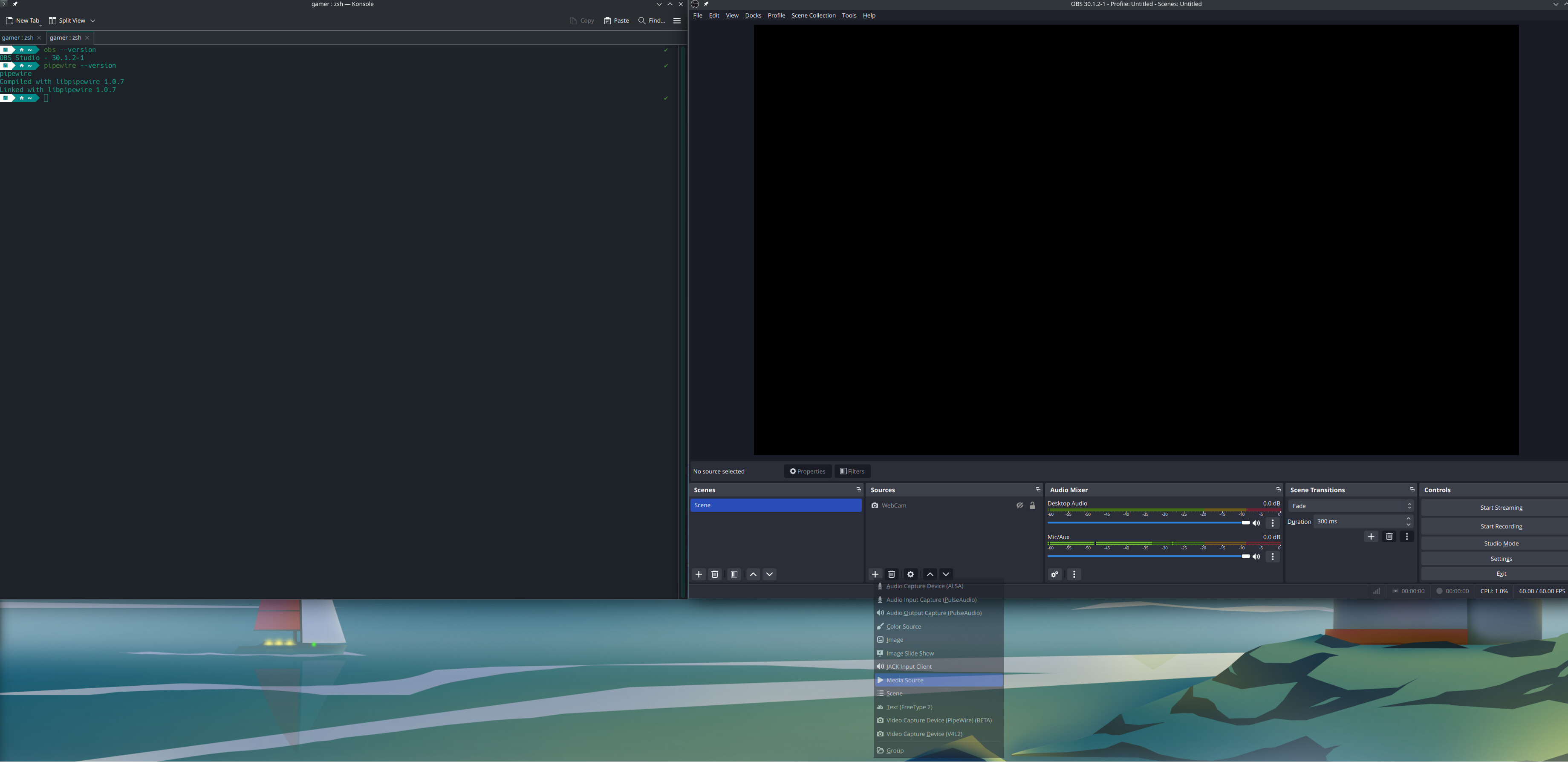 OBS Display Capture not showing - Software & Applications - Manjaro ...
