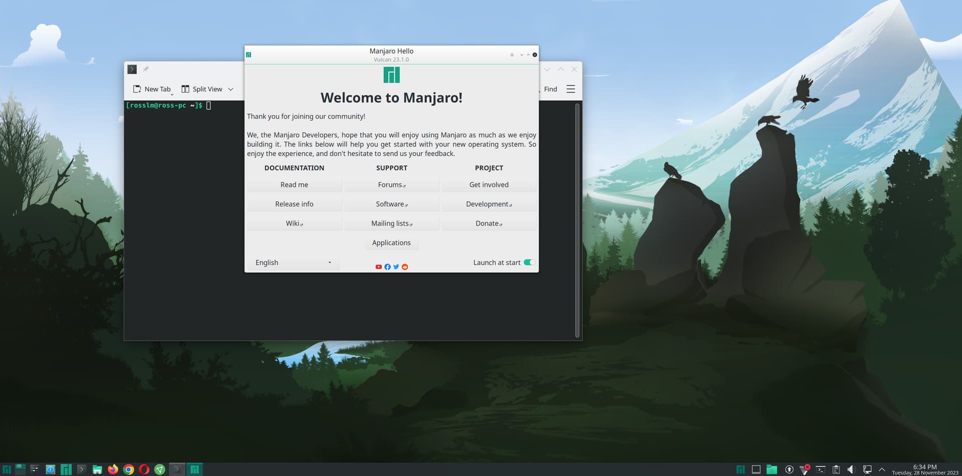 Some applications text and icons are miniscule - Graphics & Display ...
